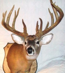 100 Of The Best Deer Hunting Stories Shared By Our Readers