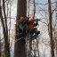 Best Two Man Ladder Stands In 2024 Tested And Reviewed