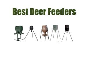 Deer Hunting Guide - Your Source for Deer Hunting Information!