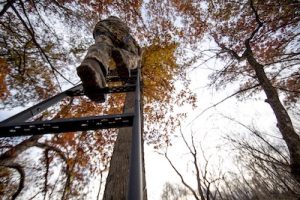 Best Two Man Ladder Stands In 2024 Tested And Reviewed