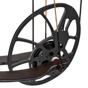 Single Cam vs Dual Cam Compound Bows: Which Is Better and Why?