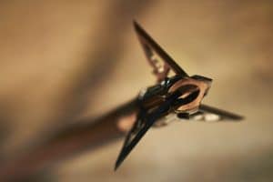 Best Broadheads For Deer In 2024 - Deer Hunting Guide