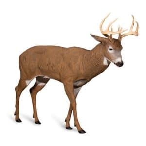 Best Deer Decoys And Setups For Success In 2026 - Deer Hunting Guide