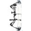 The Best Beginner Compound Bows In 2025 Tested And Reviewed