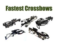 Best Recurve Bow 2022 – Our Top Picks With Reviews and Buying Guide