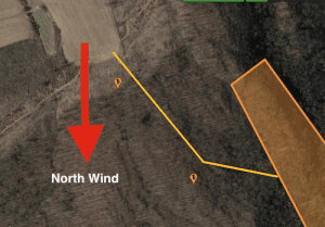 Do Deer Move In The Wind? The Answer May Surprise You! - Deer Hunting Guide