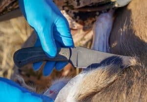 The Ultimate Deer Hunting Gear Checklist