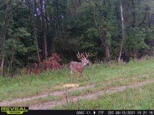 Ohio Deer Hunting: Top Spots For Trophy Bucks - Deer Hunting Guide