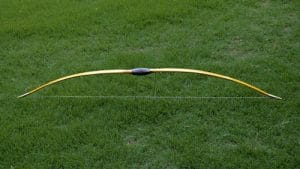 Different Types Of Bows For Archery and Hunting