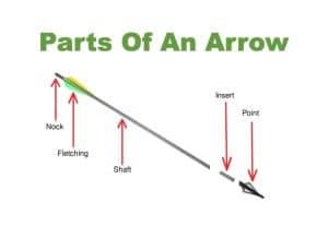 Parts Of An Arrow Explained - Deer Hunting Guide