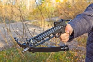 Different Types Of Crossbows Explained - Deer Hunting Guide