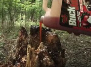 Best Deer Attractants In 2024 - Deer Hunting Guide