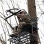 Best Two Man Ladder Stands In 2024 Tested And Reviewed