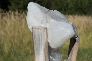 Best Mineral Blocks And Salt Licks For Deer In 2024