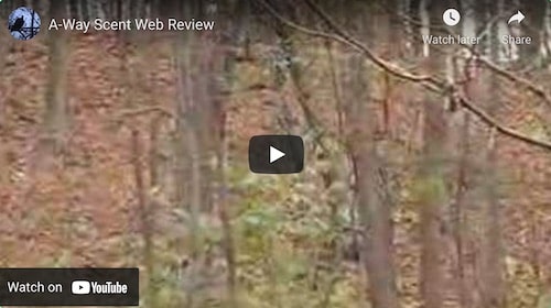 Best Deer Attractant 2022 - 16 Bait Options To Lure In A Buck Of A Lifetime